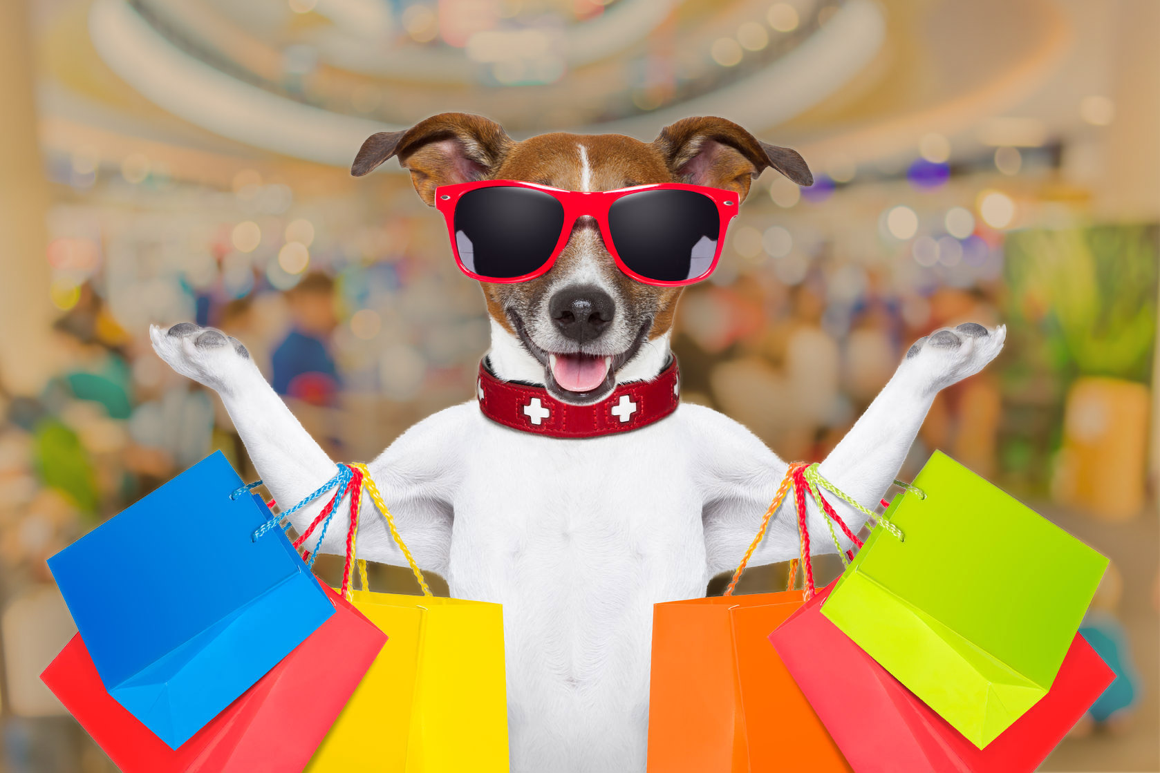 Clinica Veterinaria Providencia